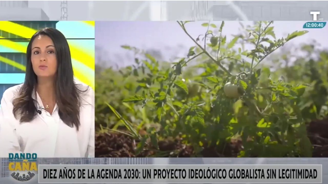 Diez años de la 'Agenda 2030', un proyecto ideológico globalista