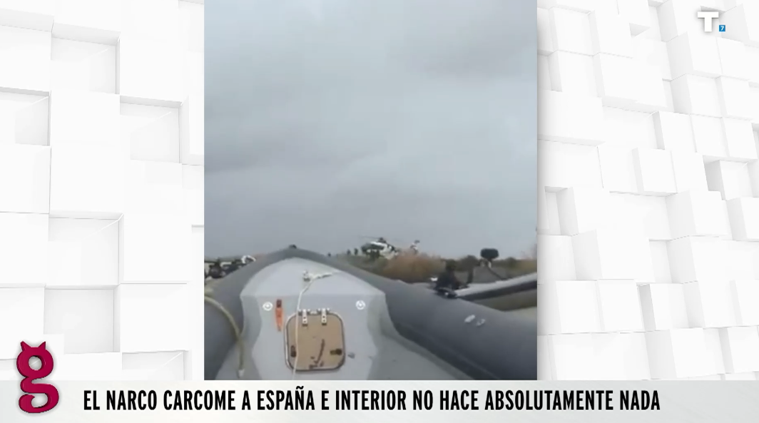 El narco carcome a España y Marlaska mira a otro lado – El Toro TV